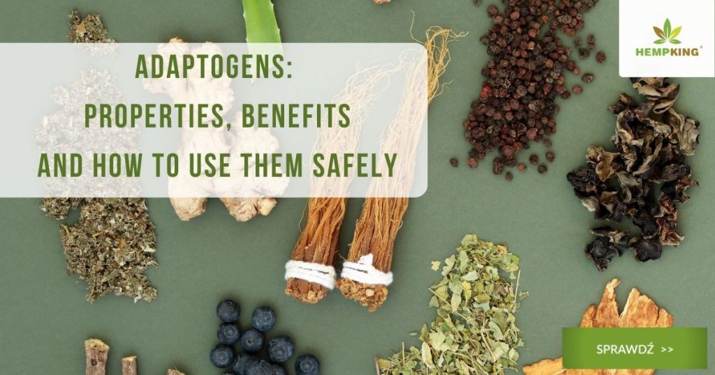 Adaptogens: Properties, Benefits, and How to Use Them Safely - hempking.eu
