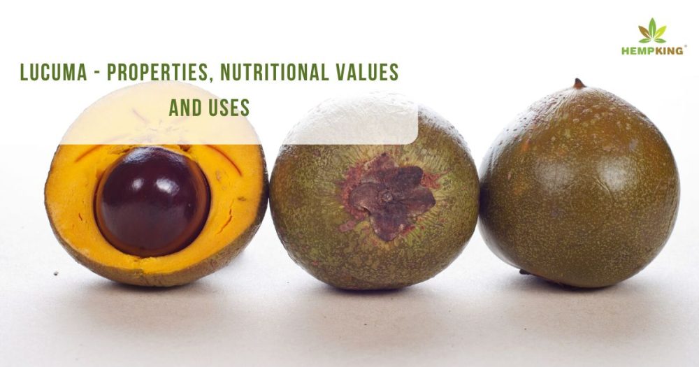 Lucuma - properties, nutritional values and uses | HempKing Blog