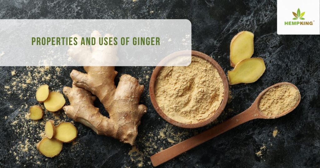 Ginger - properties and uses | HempKing Blog