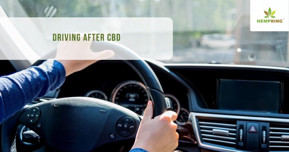 Driving after CBD | HempKing Blog