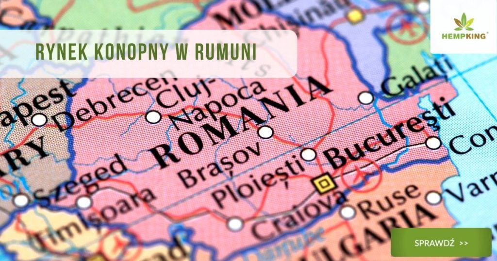 Rynek konopny w Rumuni | Blog HempKing