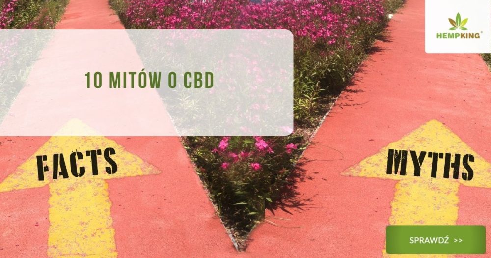 10 Mitów o CBD - Mity o CBD, które powinieneś poznać | Blog